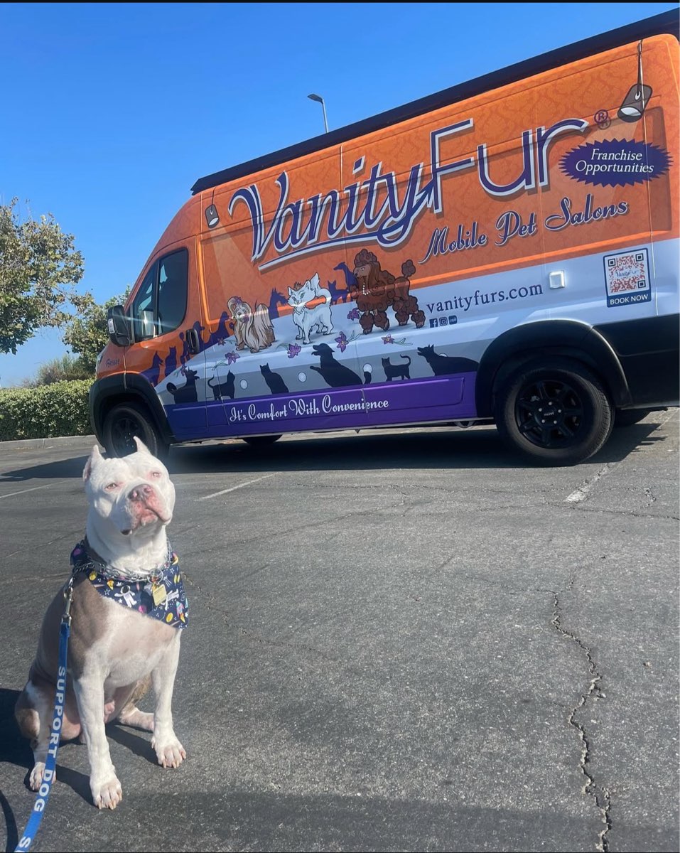 About – Vanity Fur